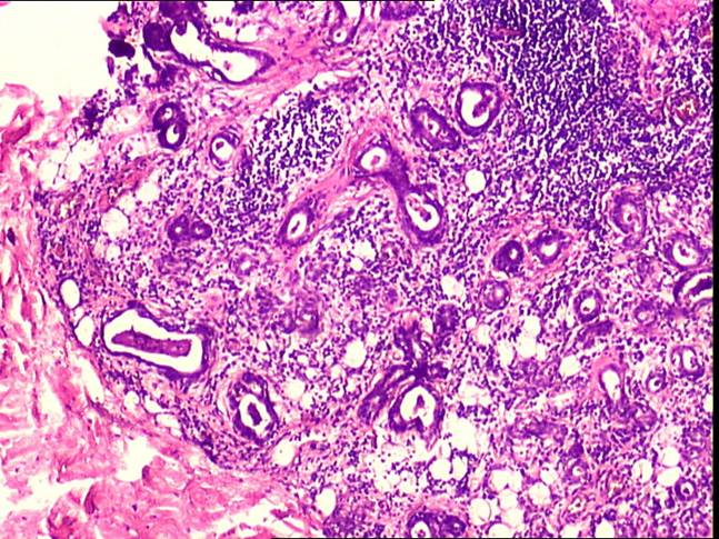 Eurocytology