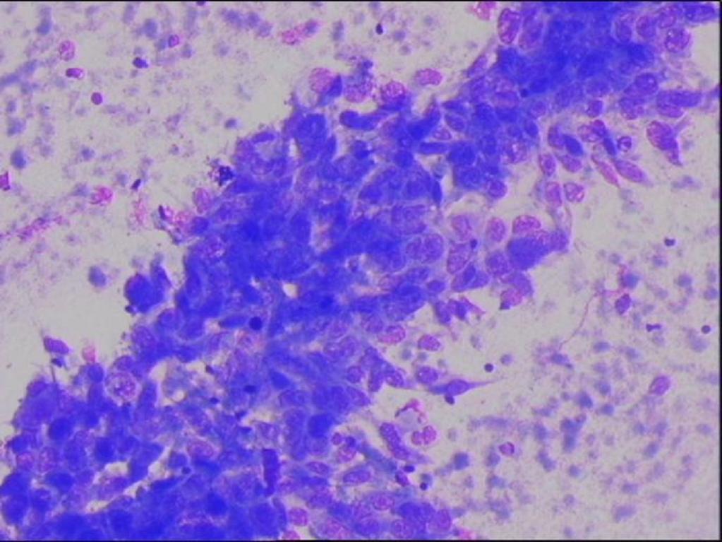 Eurocytology