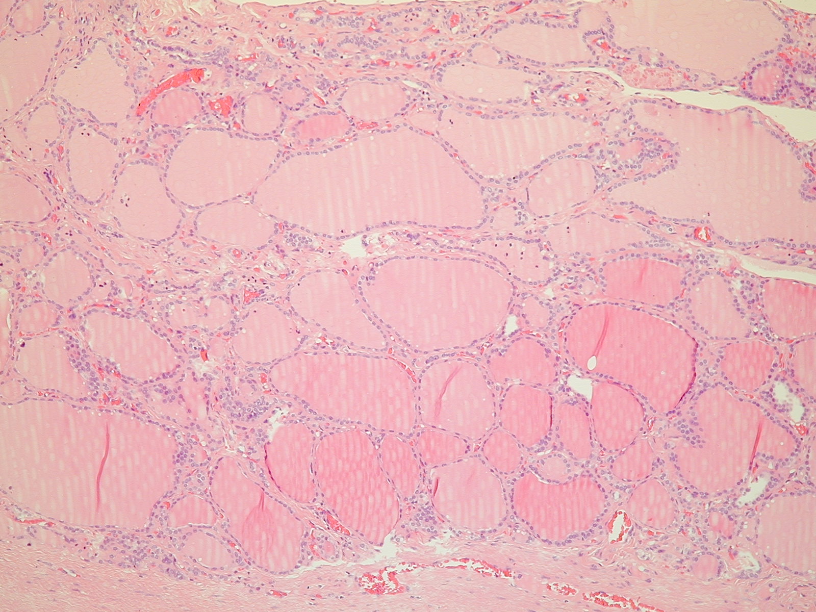 Eurocytology