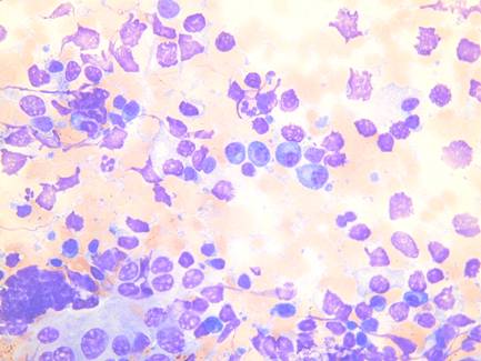 Eurocytology